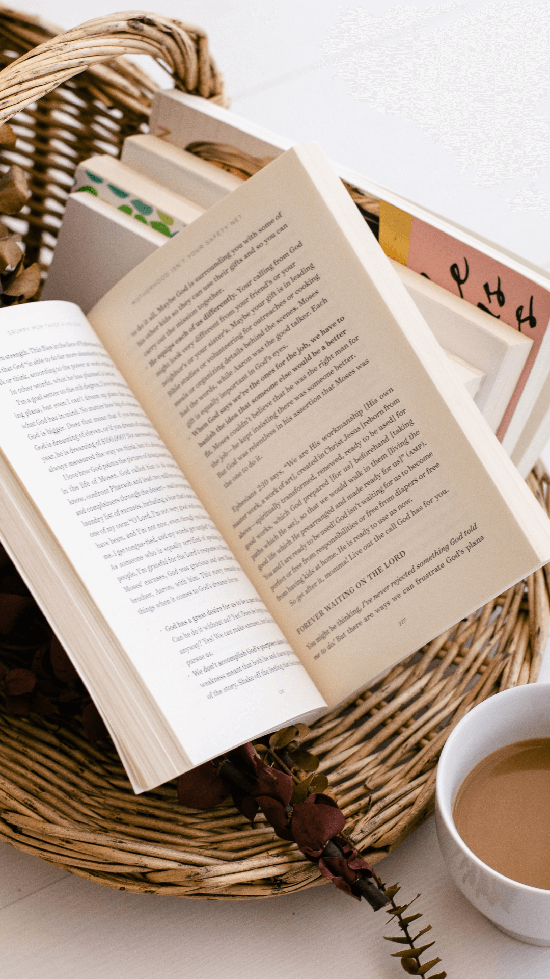 10 Best Books To Read In The Morning Vishaka Blone 10 Best Books To Read In The Morning Vishaka Blone