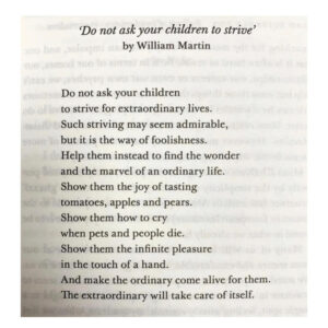 100 Wonderful Reasons To Stay Alive - Vishaka Blone