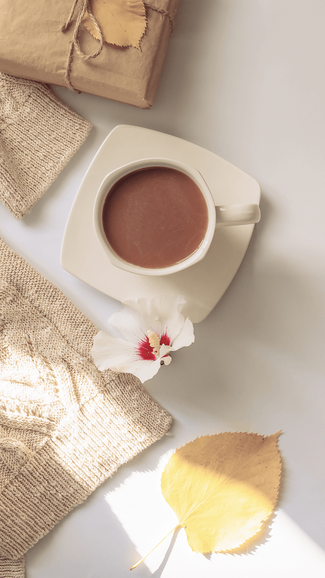 Fall Reset Ideas For A Calm Home And Soul Vishaka Blone